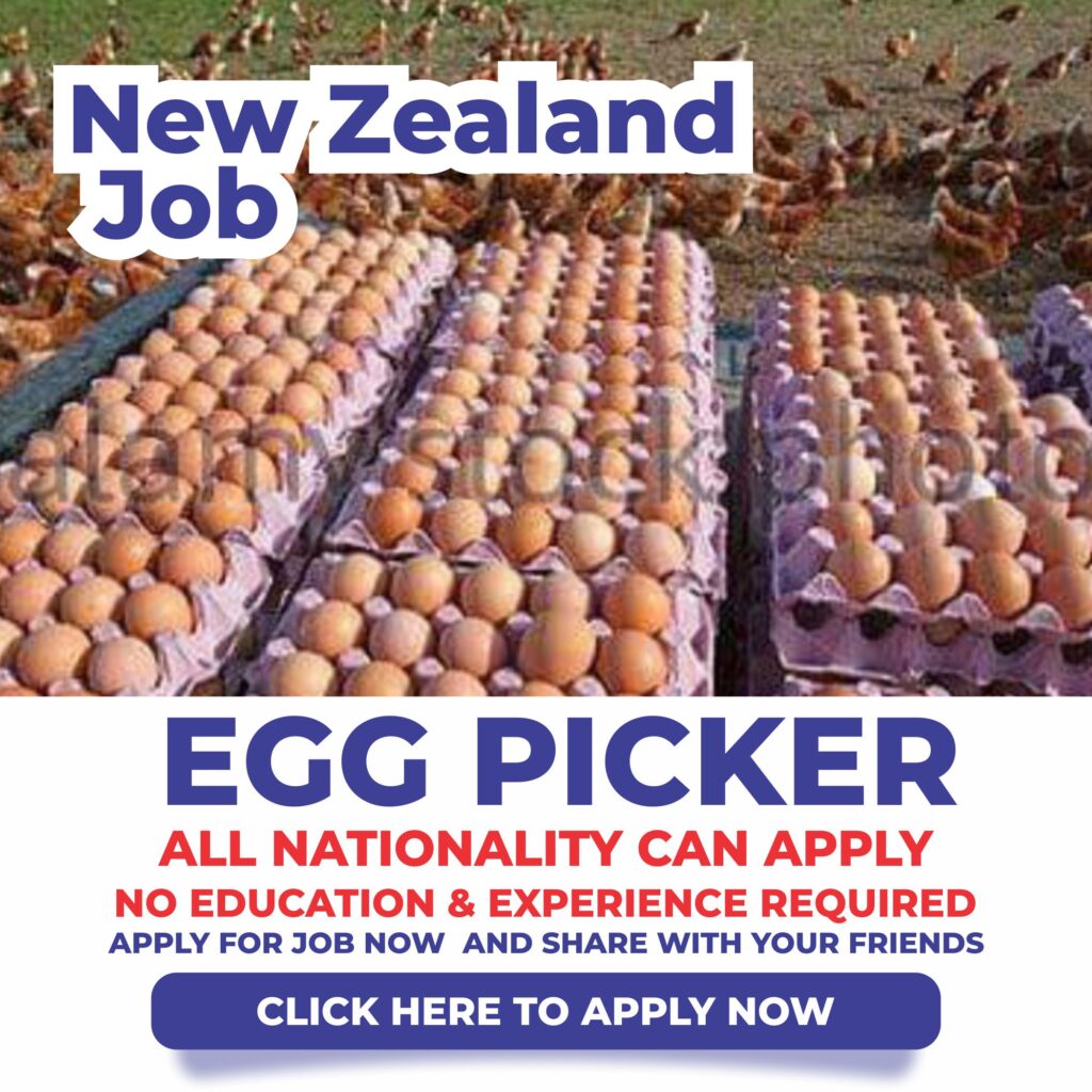 New Zealand Egg Picker Job Vacancies - Migrate to Canada